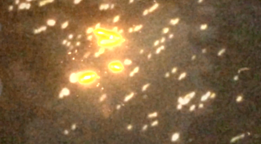 Video Premiere: Stavrogin - Blackcap - Ransom Note