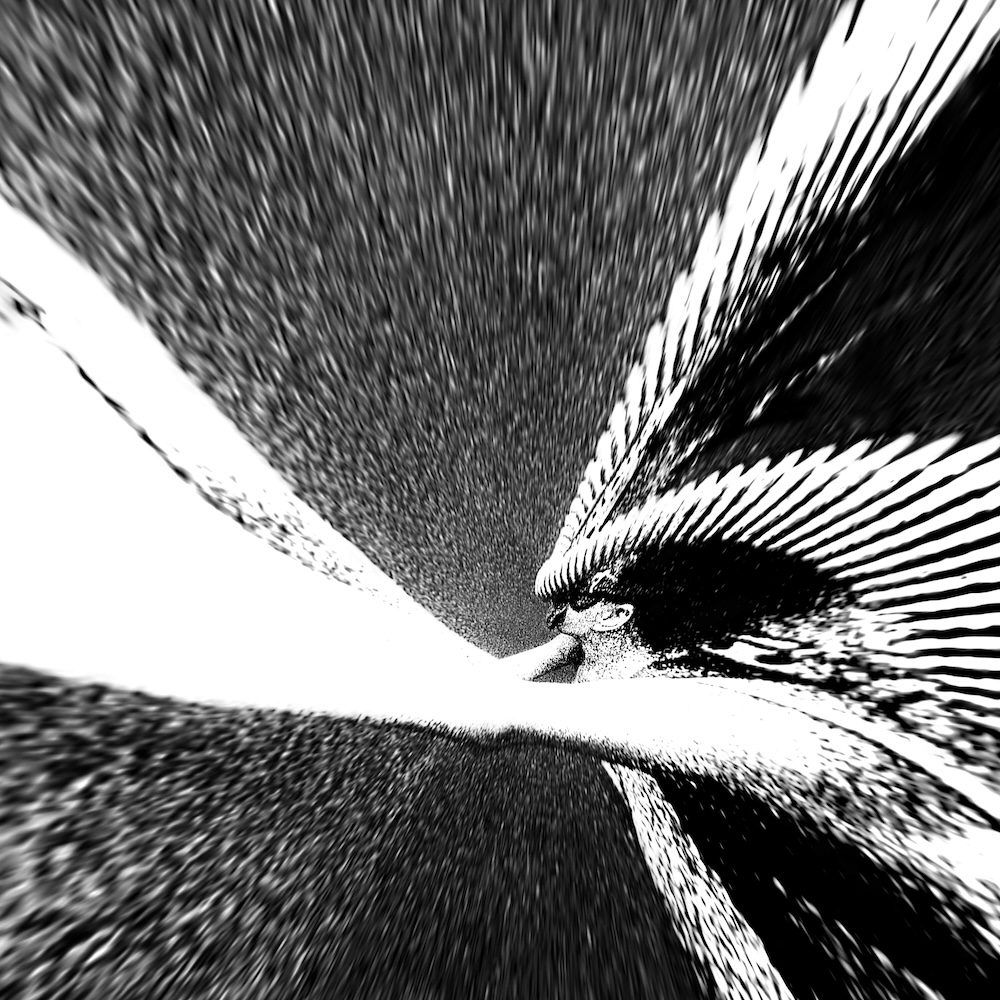 Chaos triumphing over order: Coma World in conversation on Deep Star ...